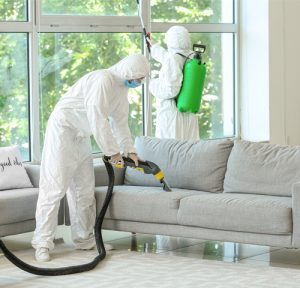 Pest Control Services in Naples, FL - Definitive Pest Control